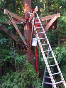circular treehouse – Corbin's Treehouse