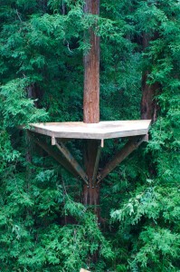 circular treehouse – Corbin's Treehouse