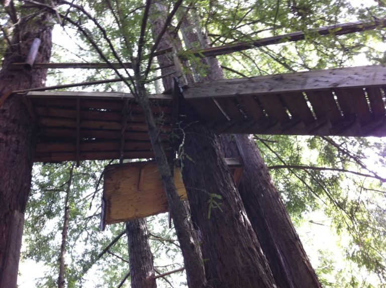 Treehouses – Corbin's Treehouse