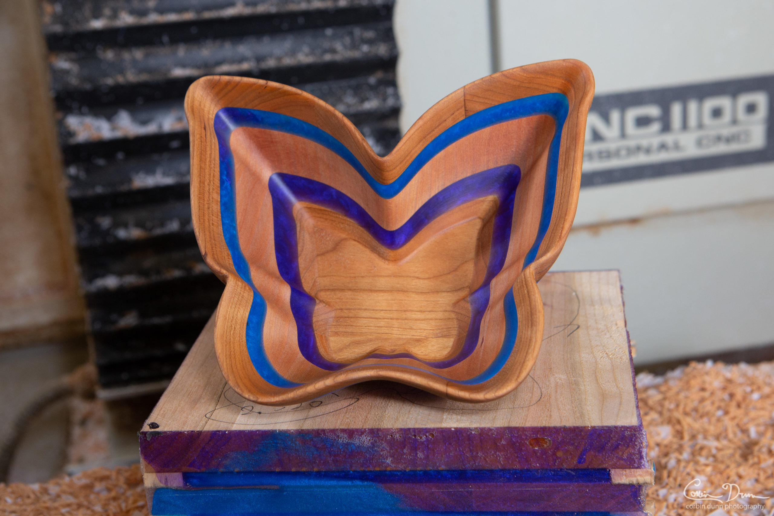 The Butterfly Bowl – Corbin's Treehouse