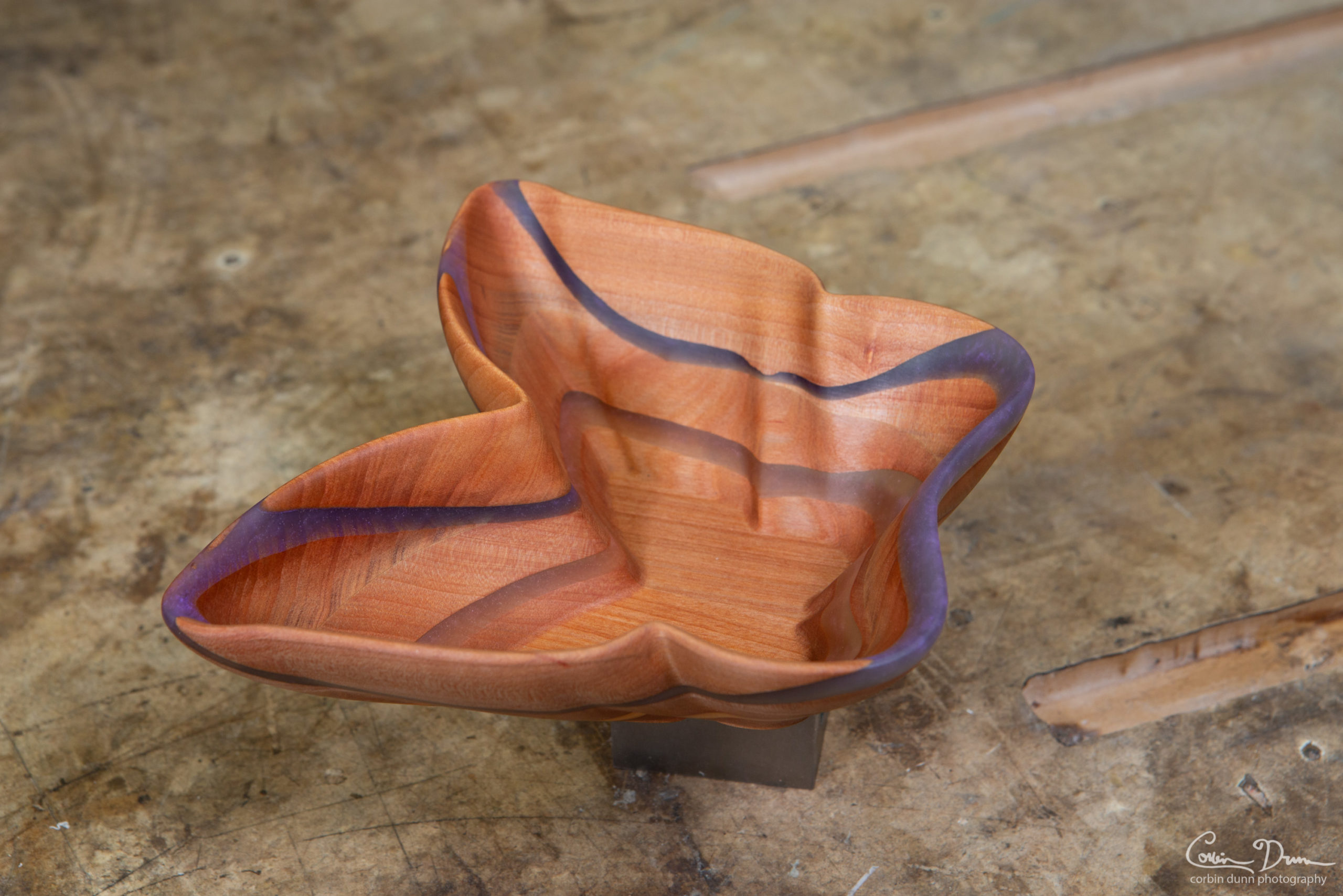 The Butterfly Bowl – Corbin's Treehouse